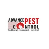 Advance Pest Control Inc. (advancepest) - Resim Yükle - Hızlı Resim Upload